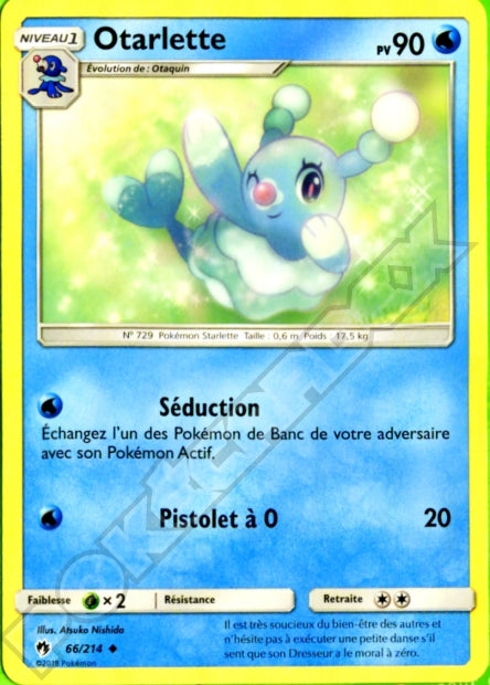 066 214 Otarlette